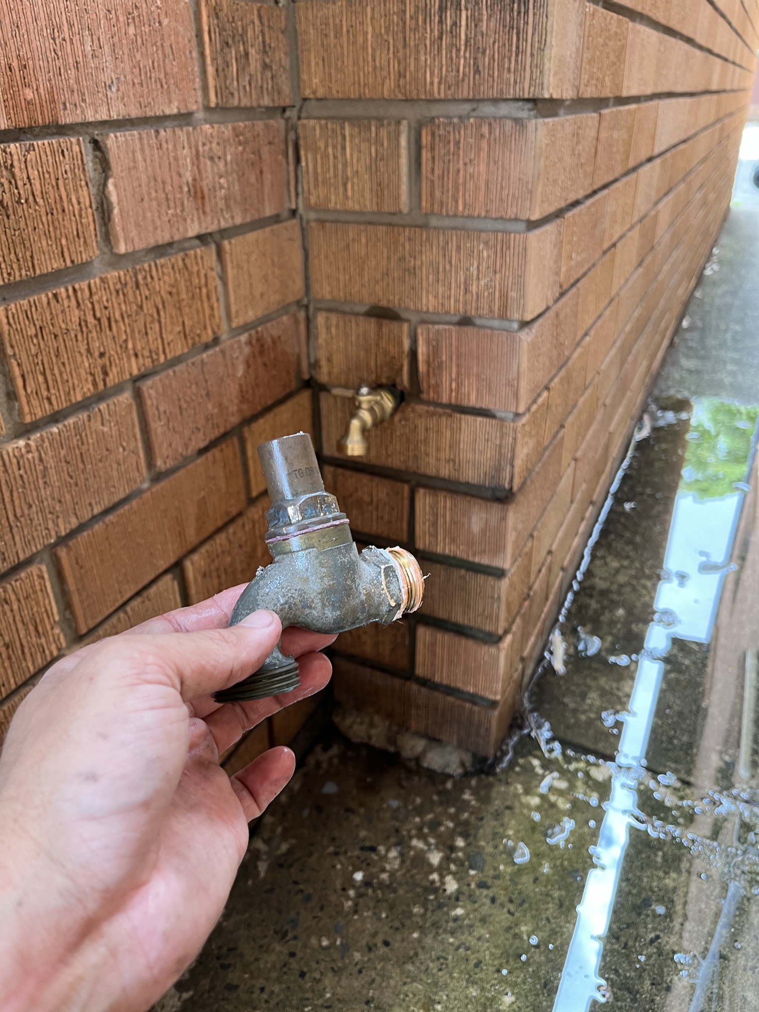 Tap Repair Phillip Bay | Rated 5 ★ | $0 Call-Out Fee